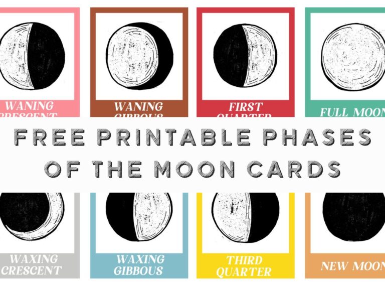 Free Phases of the Moon Printable Cards to Download - Find a Free Printable