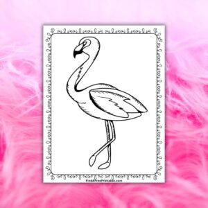 FREE PRINTABLE FLAMINGO TEMPLATE - Find a Free Printable