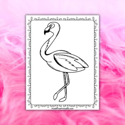 FREE PRINTABLE FLAMINGO TEMPLATE - Find a Free Printable