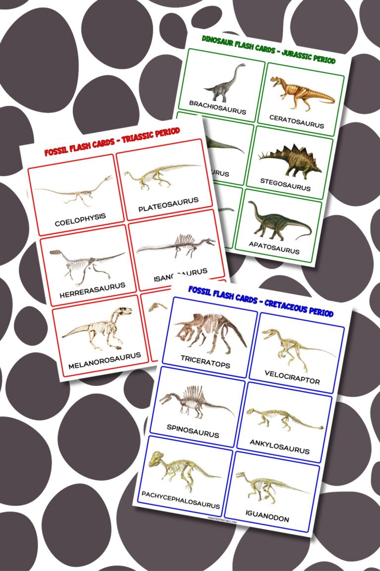 Free Printable Fun Educational Dinosaur Flash Cards - Find a Free Printable
