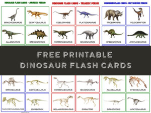 Free Printable Fun Educational Dinosaur Flash Cards - Find a Free Printable
