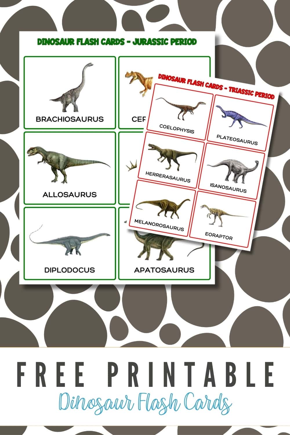 Free Printable Fun Educational Dinosaur Flash Cards - Find a Free Printable